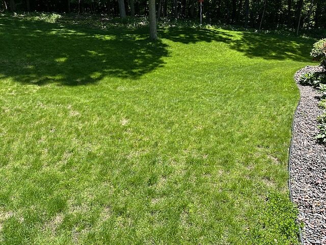 Sunday Lawn Care Reviews | Sunday Lawn Care