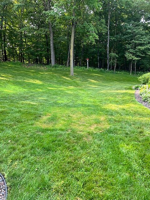 Sunday Lawn Care Reviews | Sunday Lawn Care