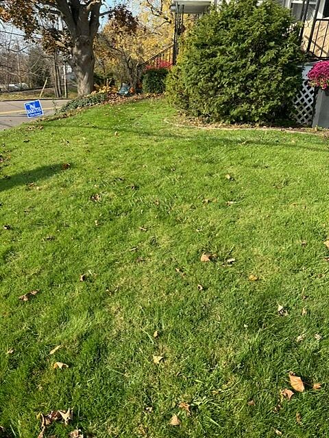 Sunday Lawn Care Reviews | Sunday Lawn Care
