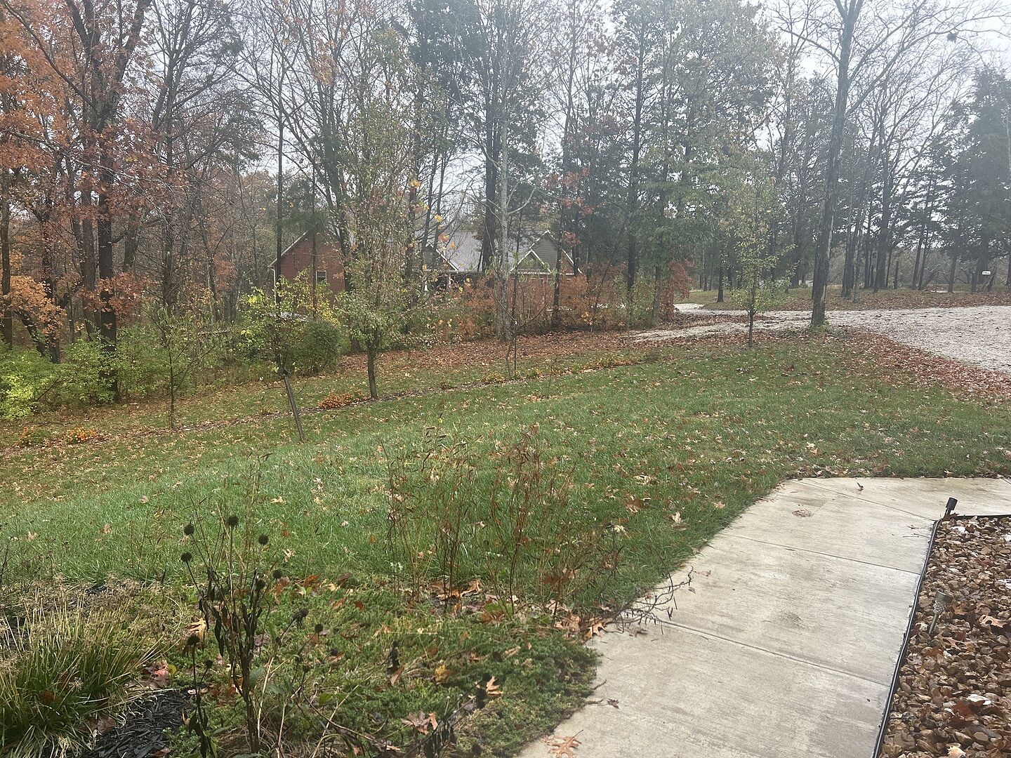 Sunday Lawn Care Reviews | Sunday Lawn Care