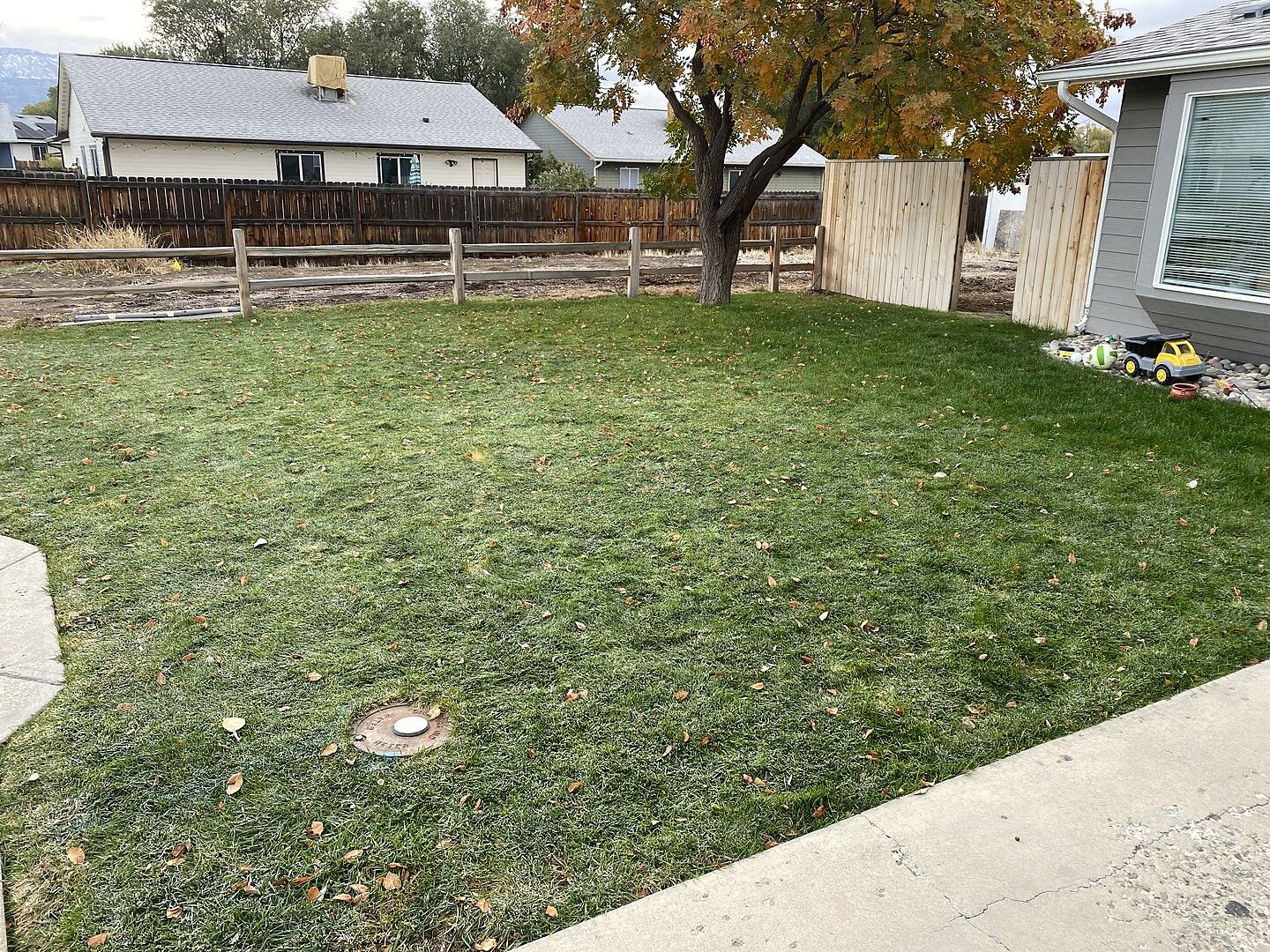 Sunday Lawn Care Reviews | Sunday Lawn Care