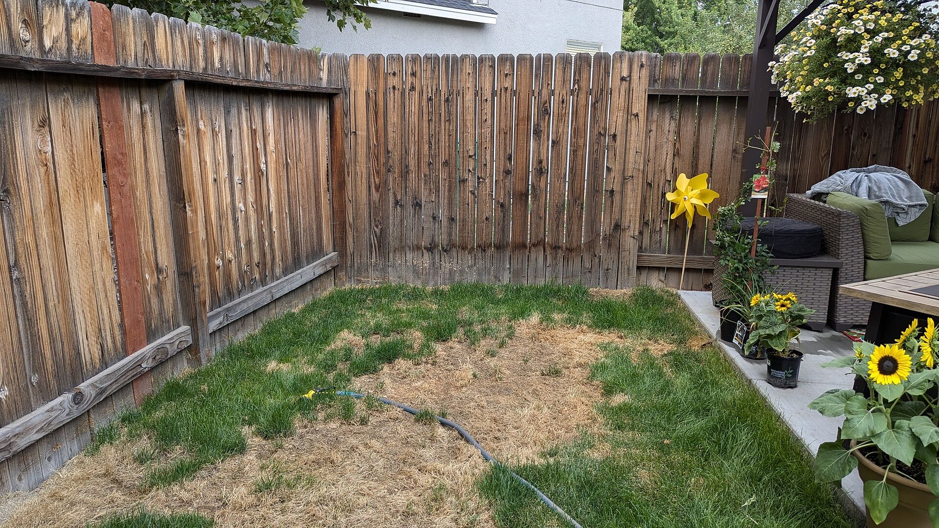 Sunday Lawn Care Reviews | Sunday Lawn Care