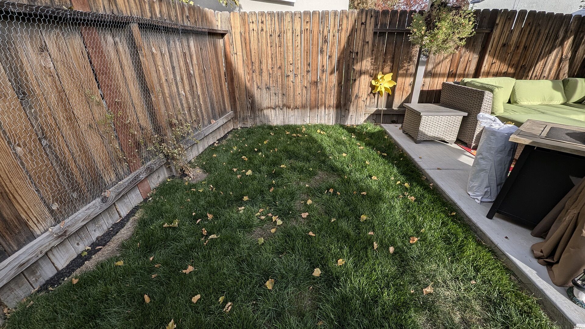 Sunday Lawn Care Reviews | Sunday Lawn Care