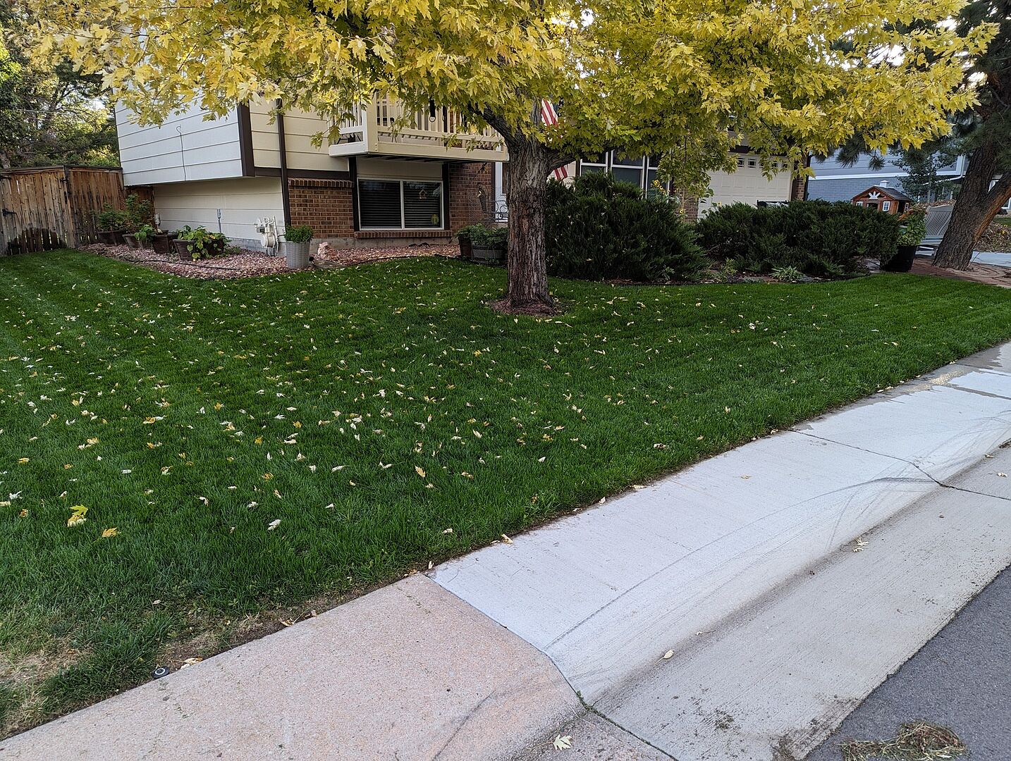 Sunday Lawn Care Reviews | Sunday Lawn Care