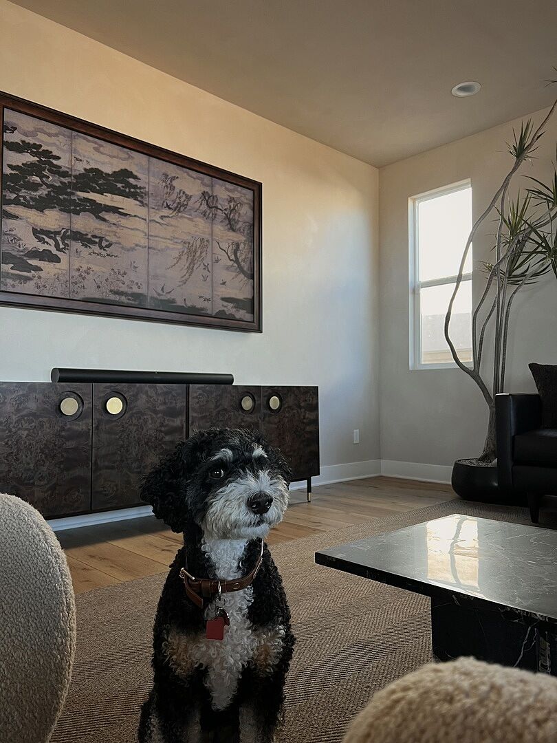 TV Frame Styles - TV Mirrors and Art to Hide TVs | Frame My TV