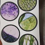 Custom Matte Stickers | Durable & Easy To Apply | Canada