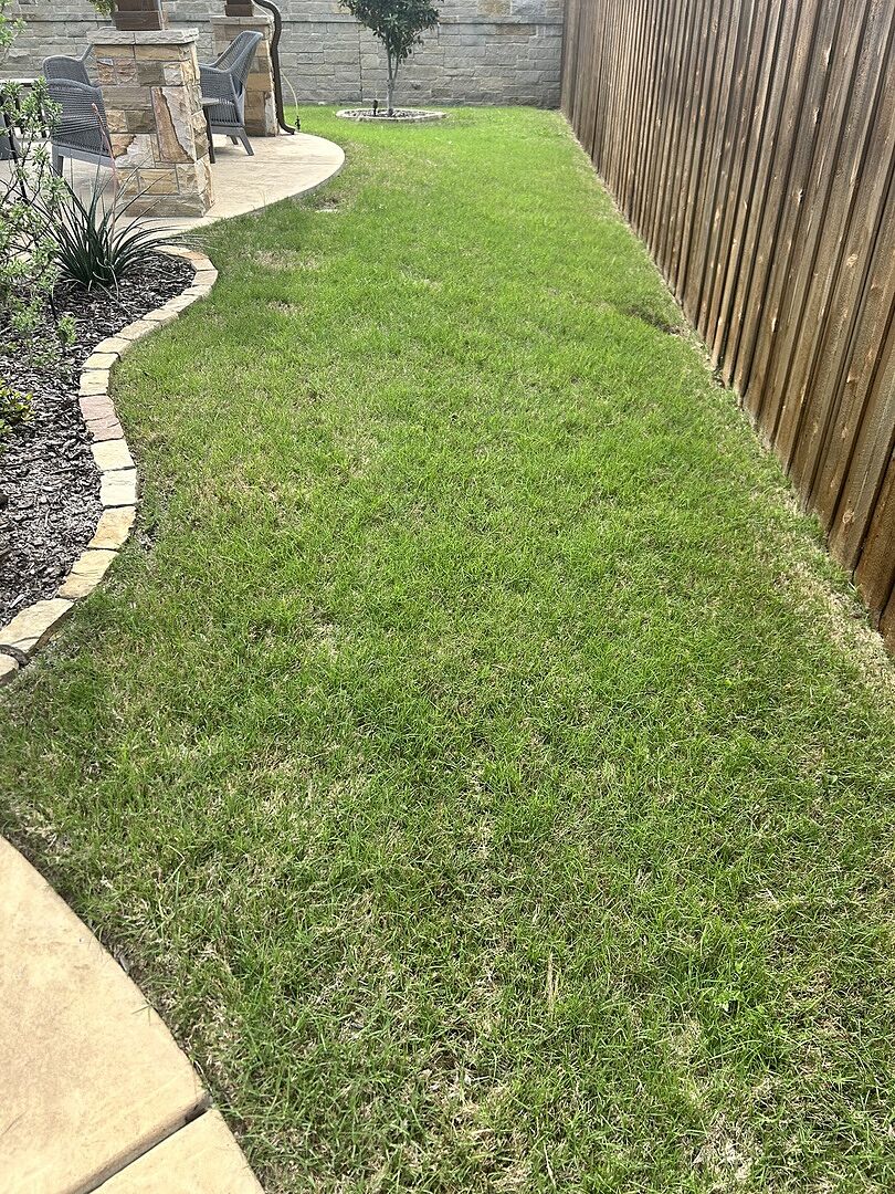 Sunday Lawn Care Reviews | Sunday Lawn Care