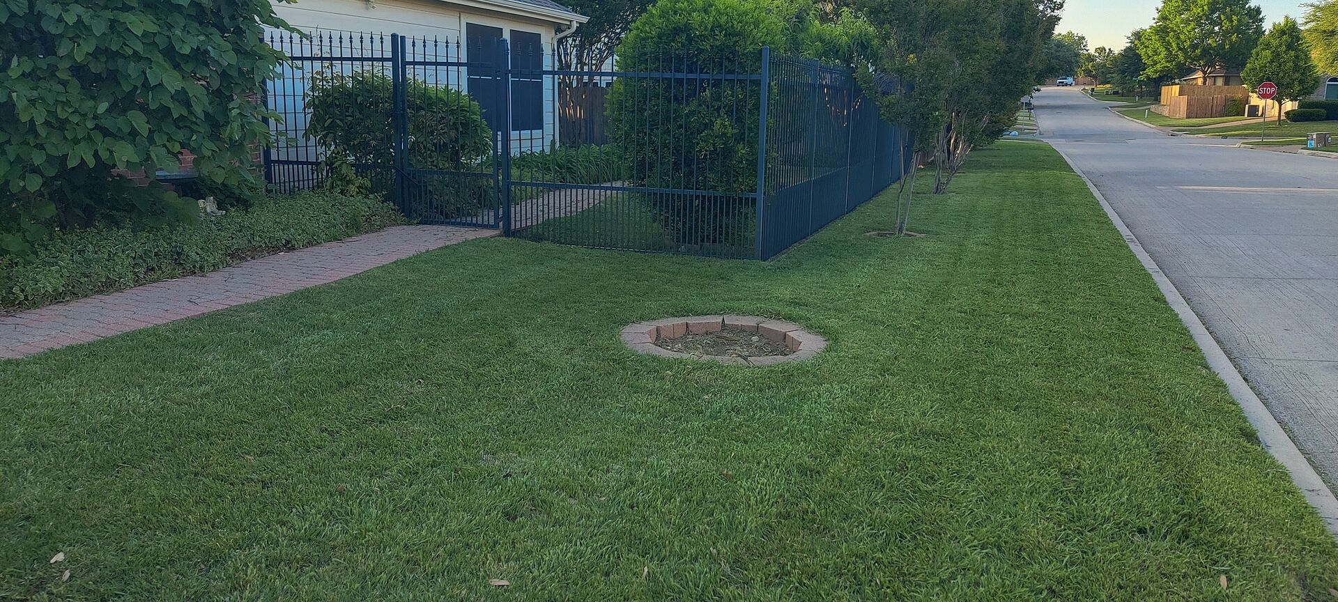 Sunday Lawn Care Reviews | Sunday Lawn Care