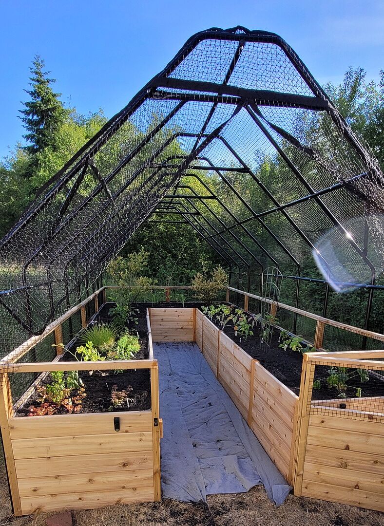 Raised Garden Beds Netting Covers DIY Raised Bed Garden With Cover