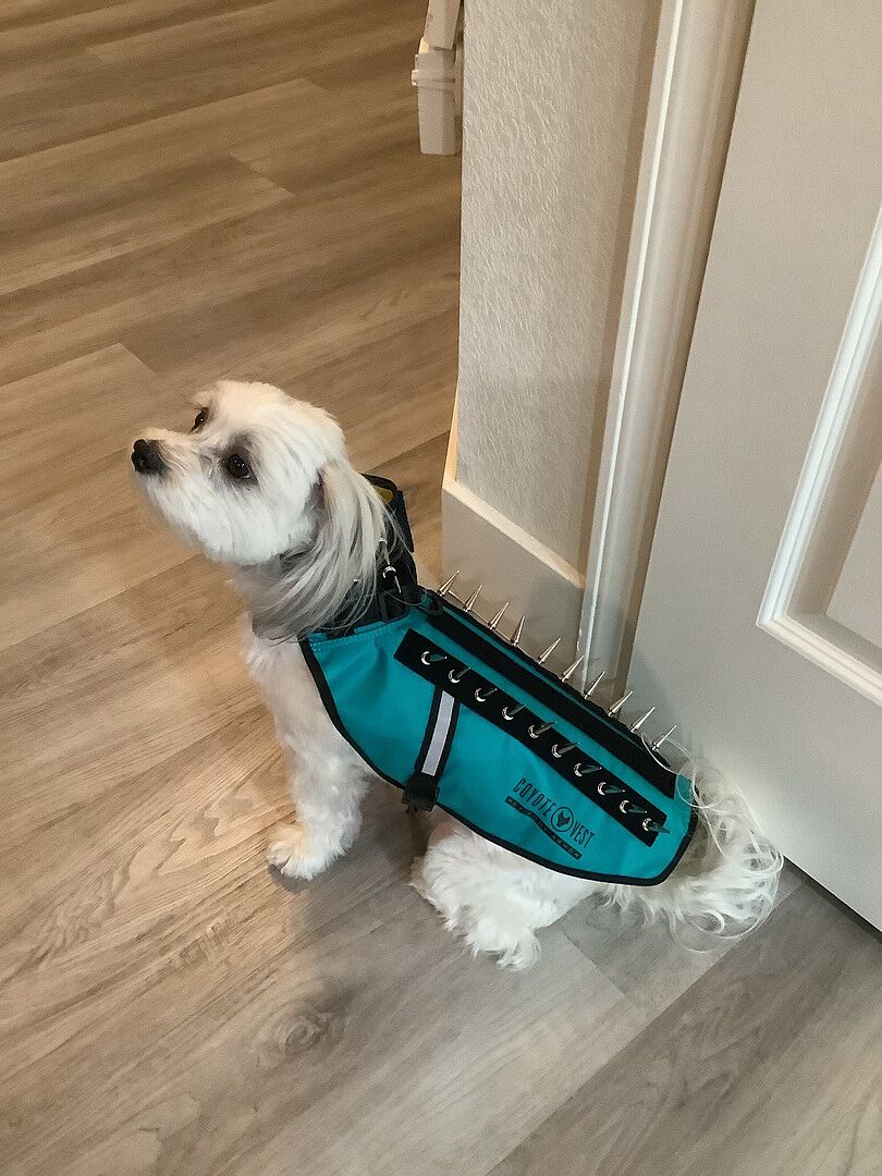Customer Reviews – CoyoteVest