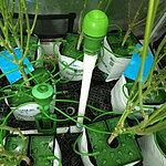 1 Gal QuickFill™ | 60% WHC | FloraFlex