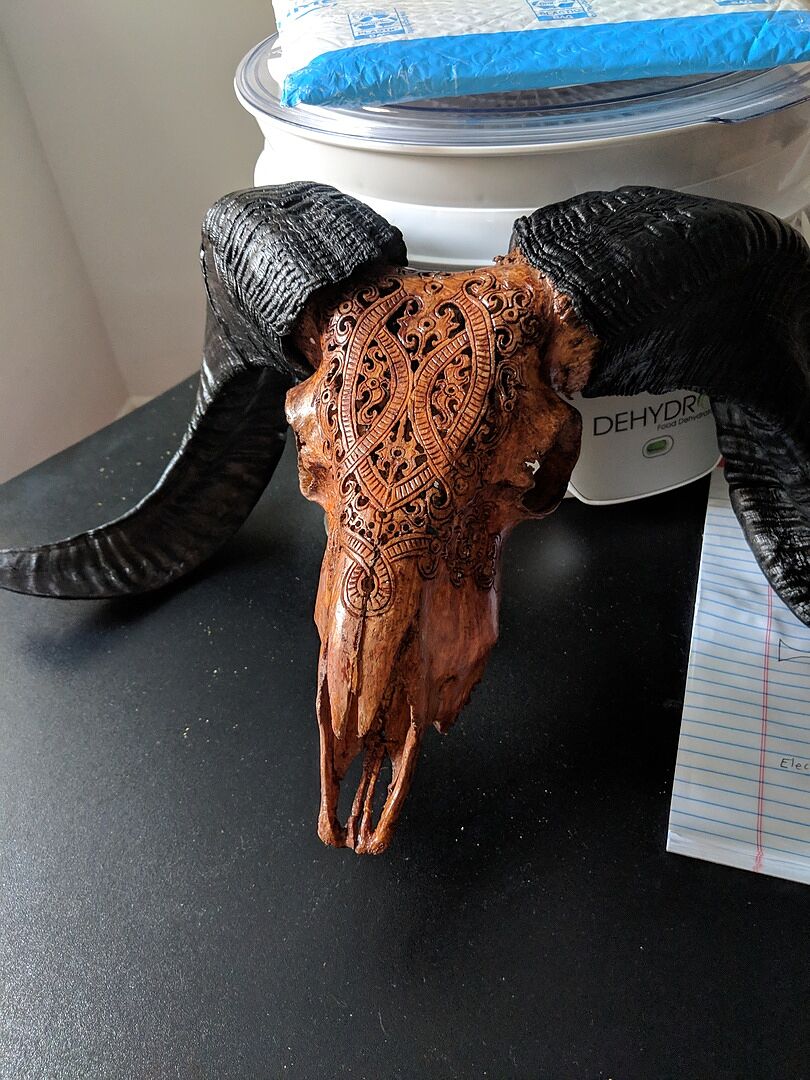 Hand Carved Ram Skull - Antique Phantom – Skull Bliss