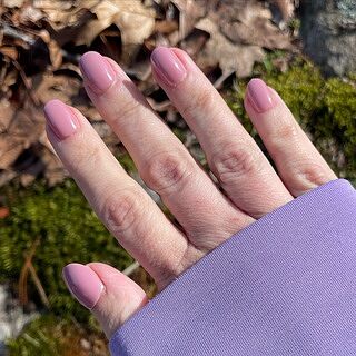 World Lit – Olive and June