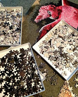 DAILY DESK PLAQUE – Genuine Fred