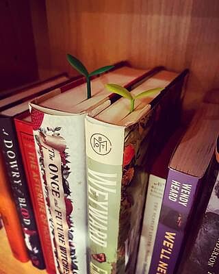 SPROUT | Little Green Bookmarks