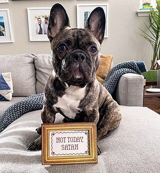 DAILY SAMPLER | Desktop affirmations that keep you in stitches