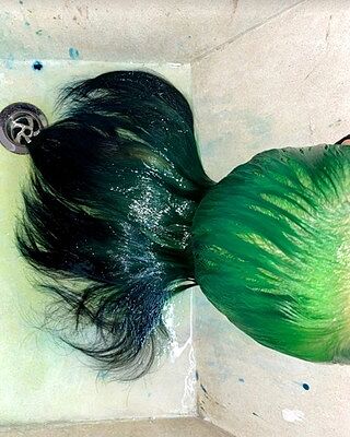Bleach London Slime Light Complete Colour Set | Neon Green Hair Dye ...