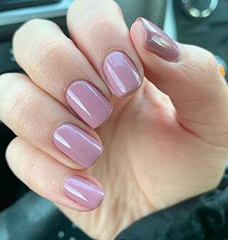 World Lit – Olive and June