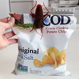 ROACH CLIPS – Genuine Fred